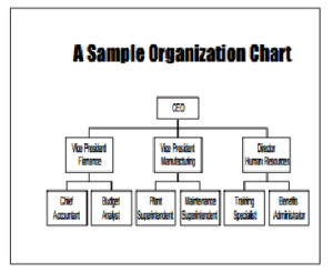 21+ Free 41+ Free Organization Chart Templates - Word Excel Formats